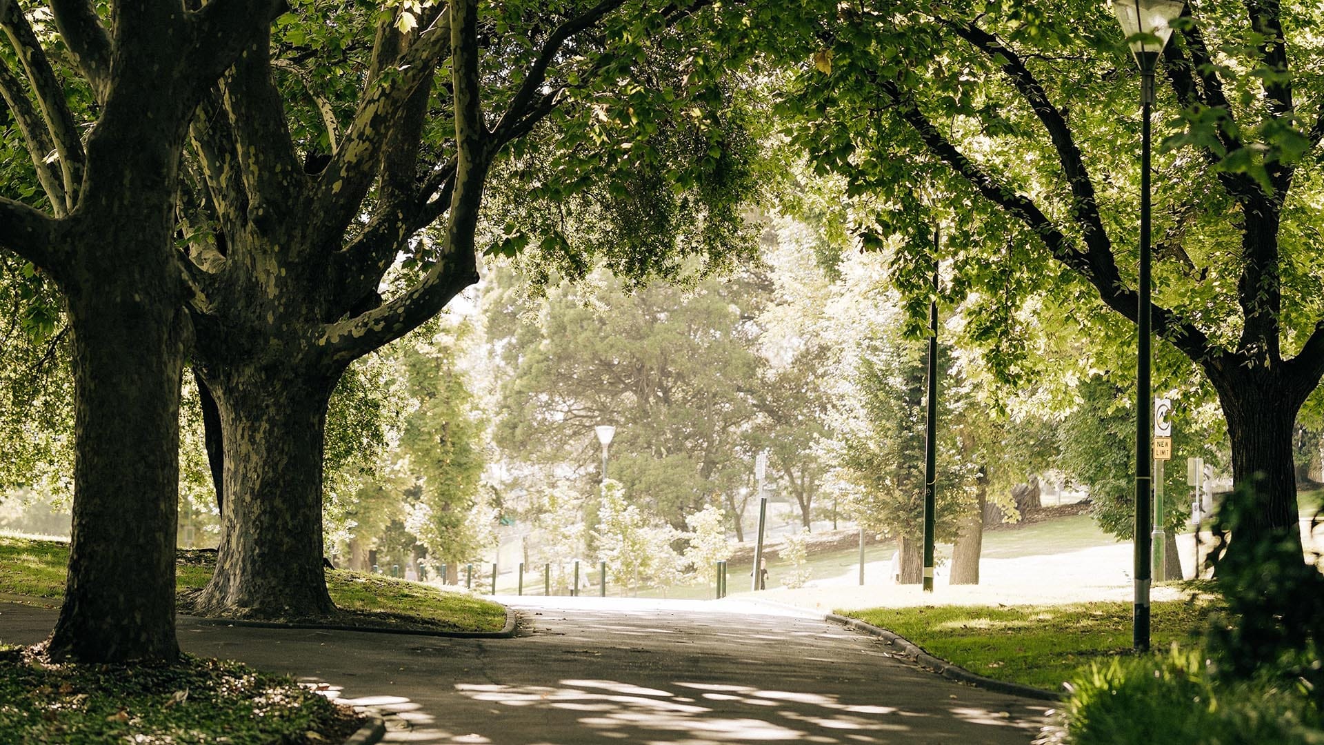Location | Melbourne Square